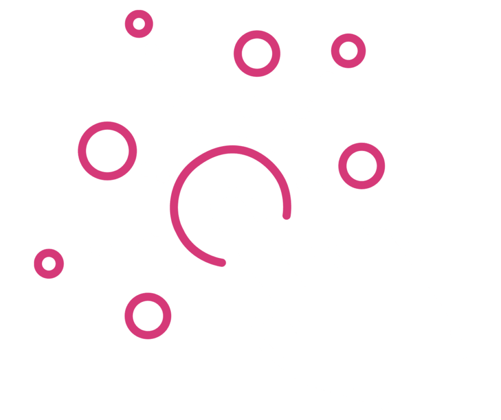 Customized Programs – Flying Classroom