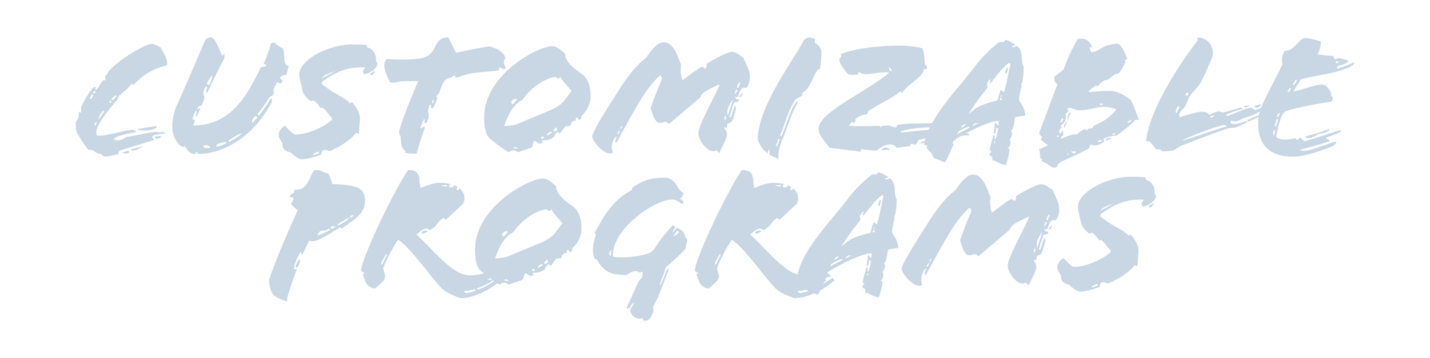 Customized Programs – Flying Classroom